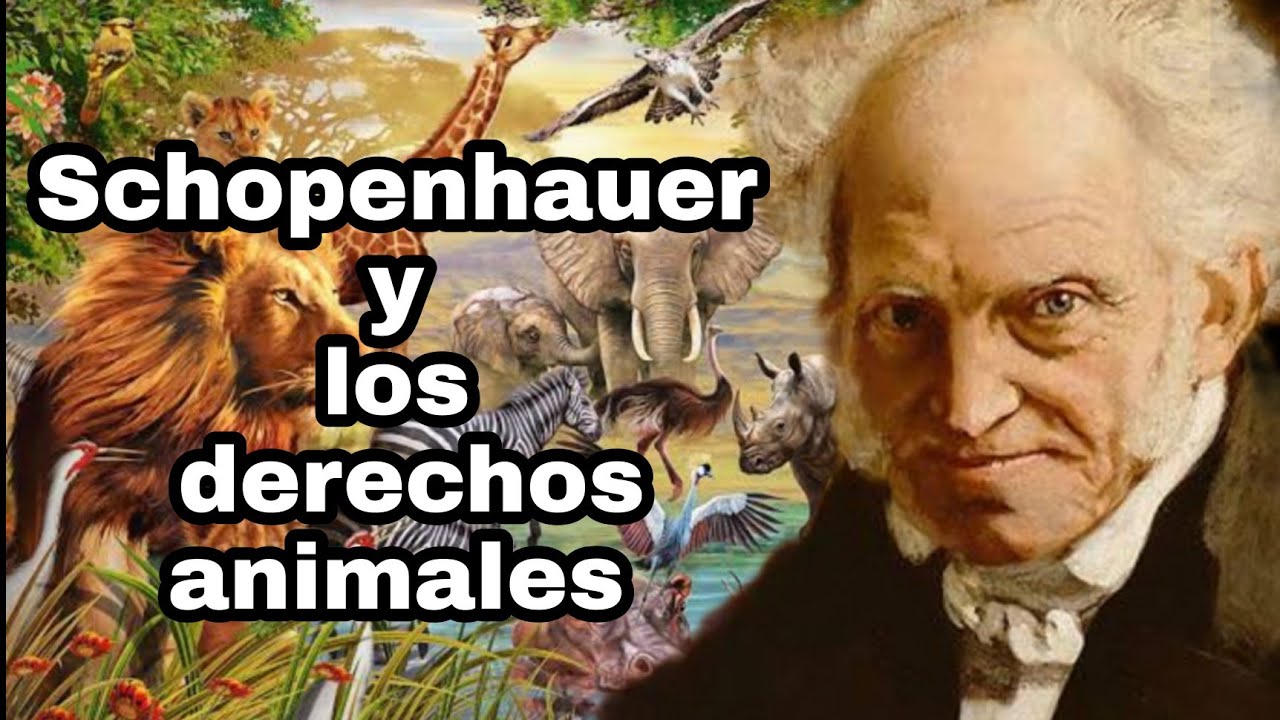 Schopenhauer y los derechos animales - Sesión 20. Curso sobre la ...
