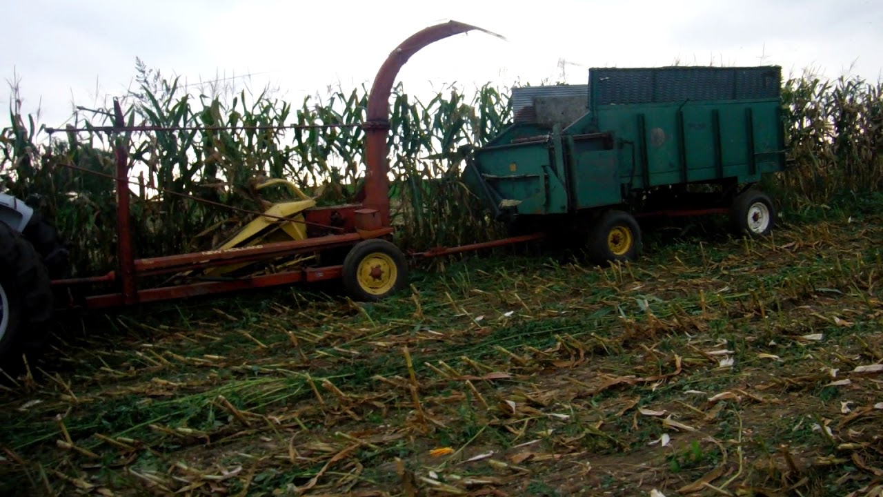 chopping corn silage - YouTube