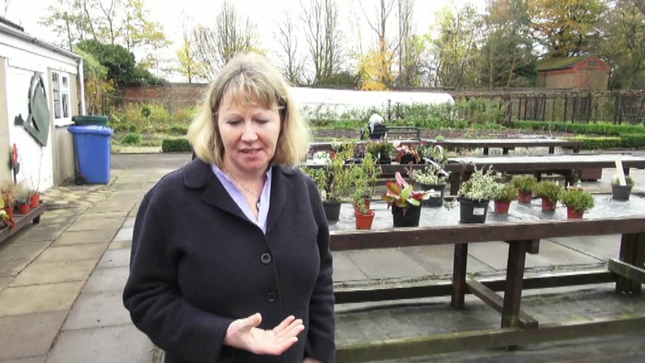 Walton Lea Project - Introduction - YouTube