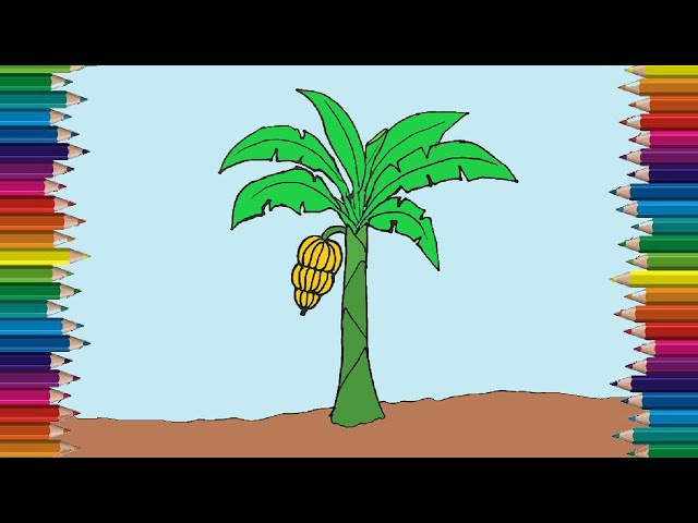 Banana Tree Drawing For Kids
