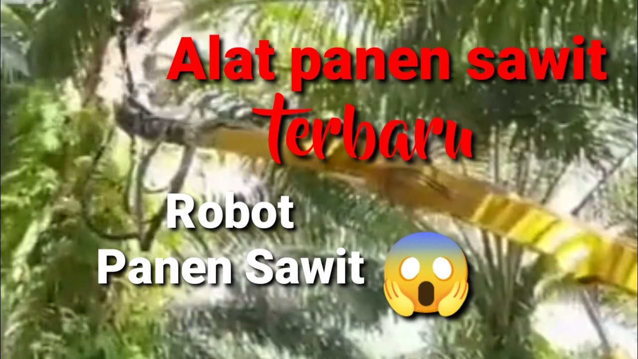 Alat panen sawit canggih, Robot panen - YouTube