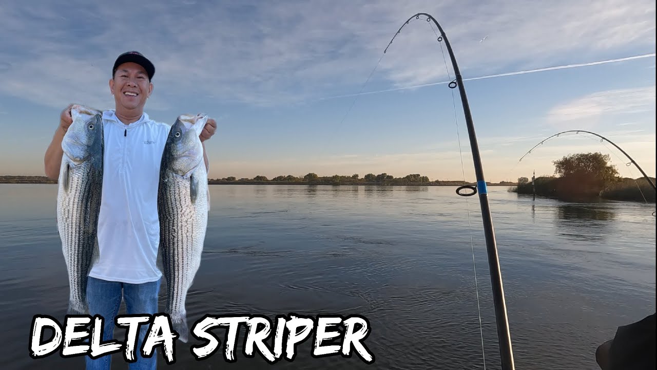 Delta Striper Nov. 3-4 - YouTube