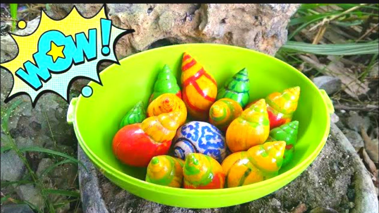 Hore. Menemukan Siput 🐌 🌈. Siput Warna Warni. Siput Batik .Keong Batik ...