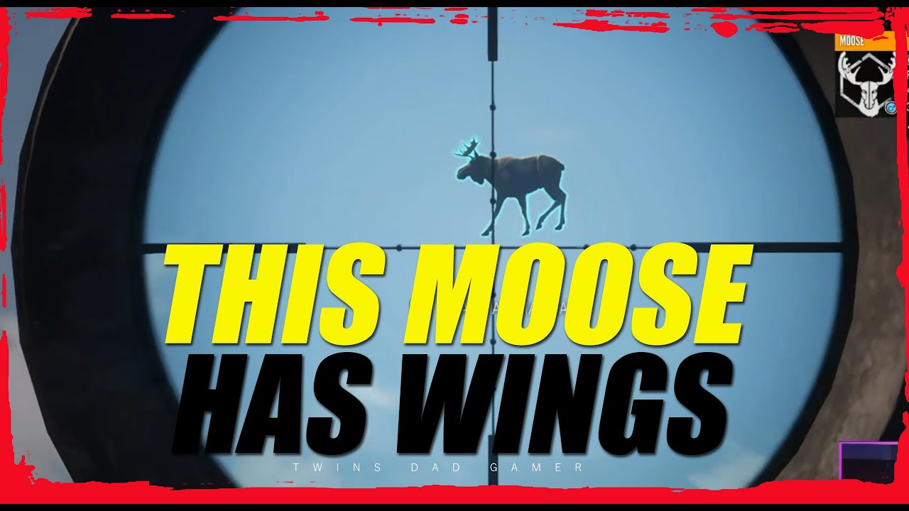 Have you ever seen FLYING MOOSE in theHunter Call of the Wild? - YouTube