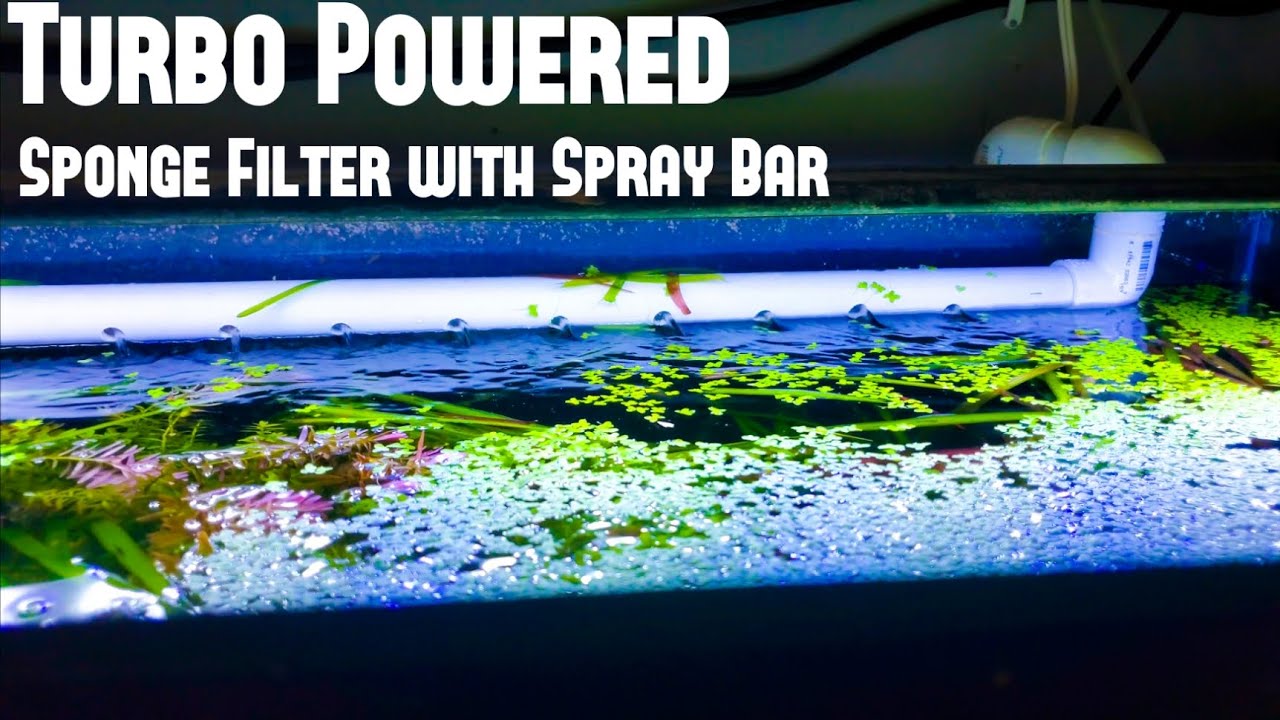 Turbo Powered Sponge Filter with Spray Bar - A DIY Project - YouTube