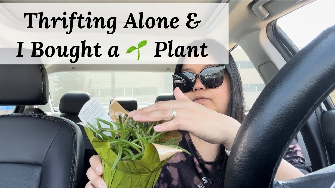 Thrifting Alone & I Bought a Plant | Happy Nancy Project - YouTube