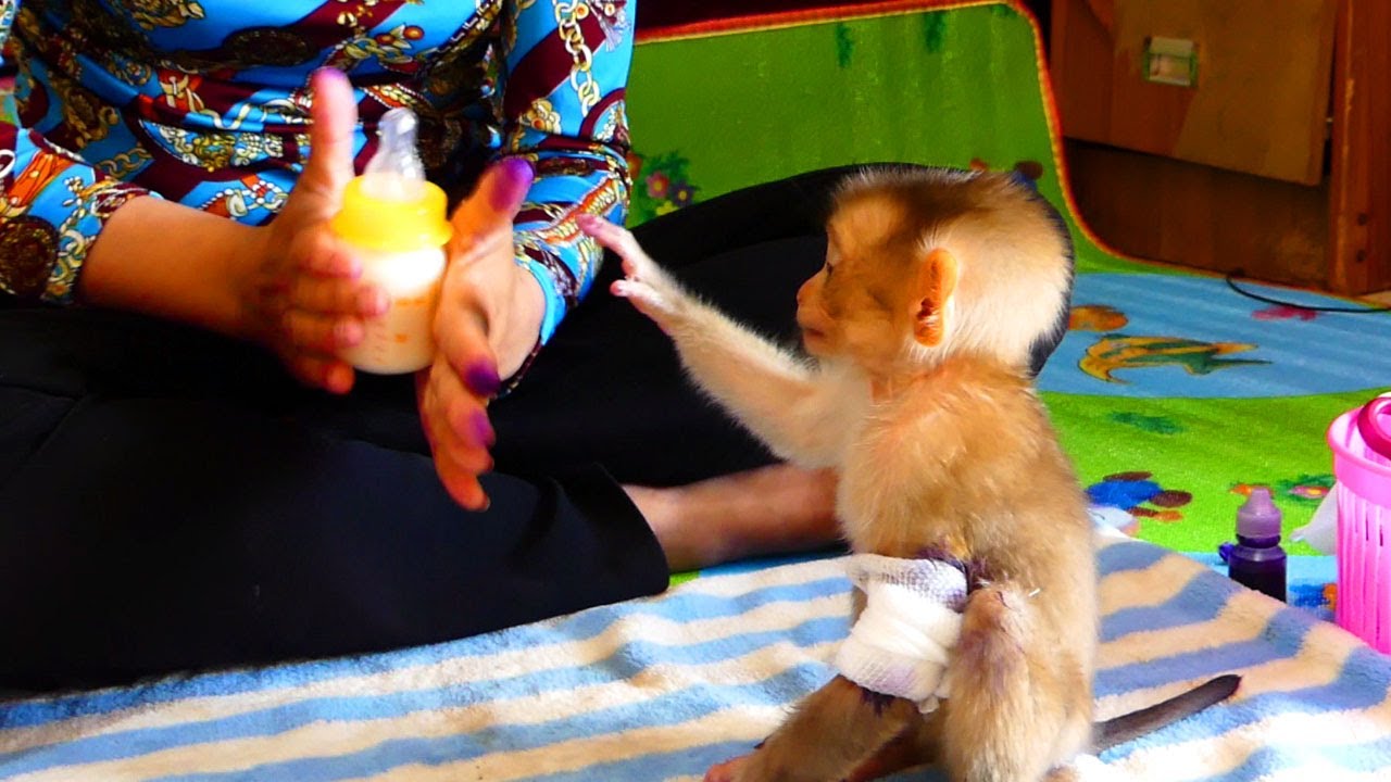 Ohho, Pity Tiny Baby Ella Start To Smart] Ella Requesting Milk From Mom ...