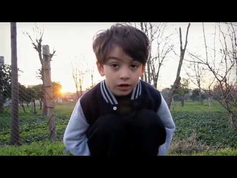 Şaire Sormuşlar
