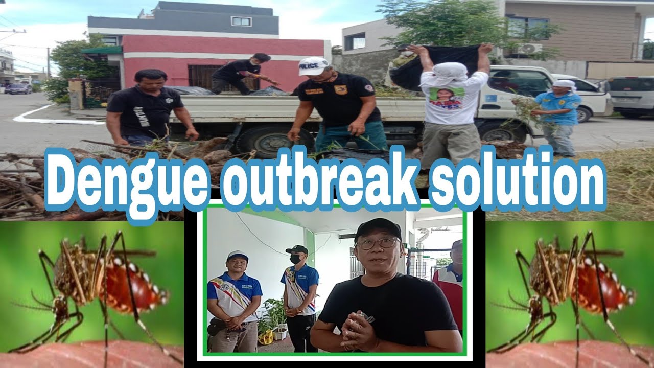 dengue outbreak solution clean up drive in evergreen county - YouTube