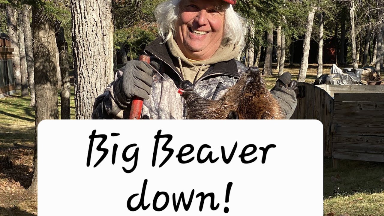 Women with Beaver problems... ends up she has 2 beavers. - YouTube