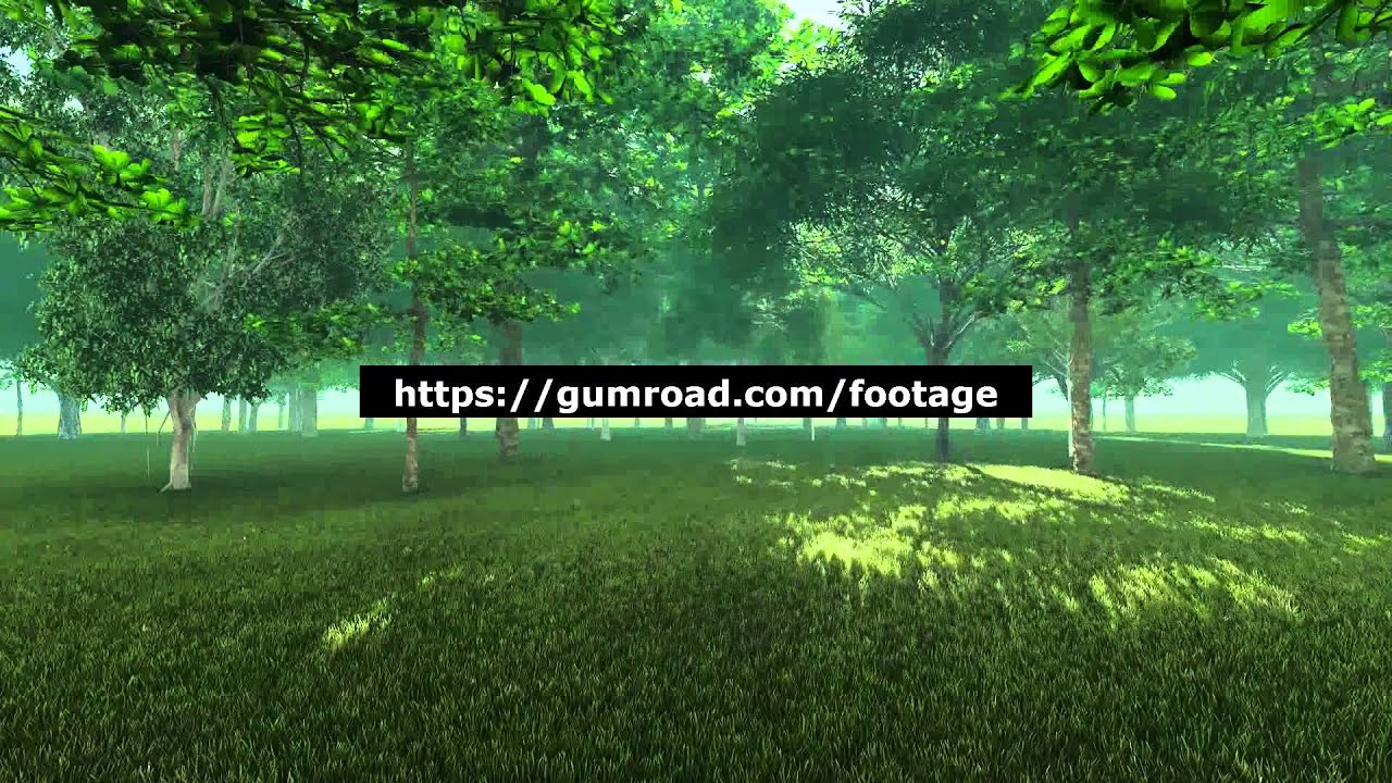 Moving Around in Forest Nature Royalty Free Stock Footage - YouTube