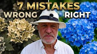 STOP! 7 reasons why you are growing your Hydrangeas wrong