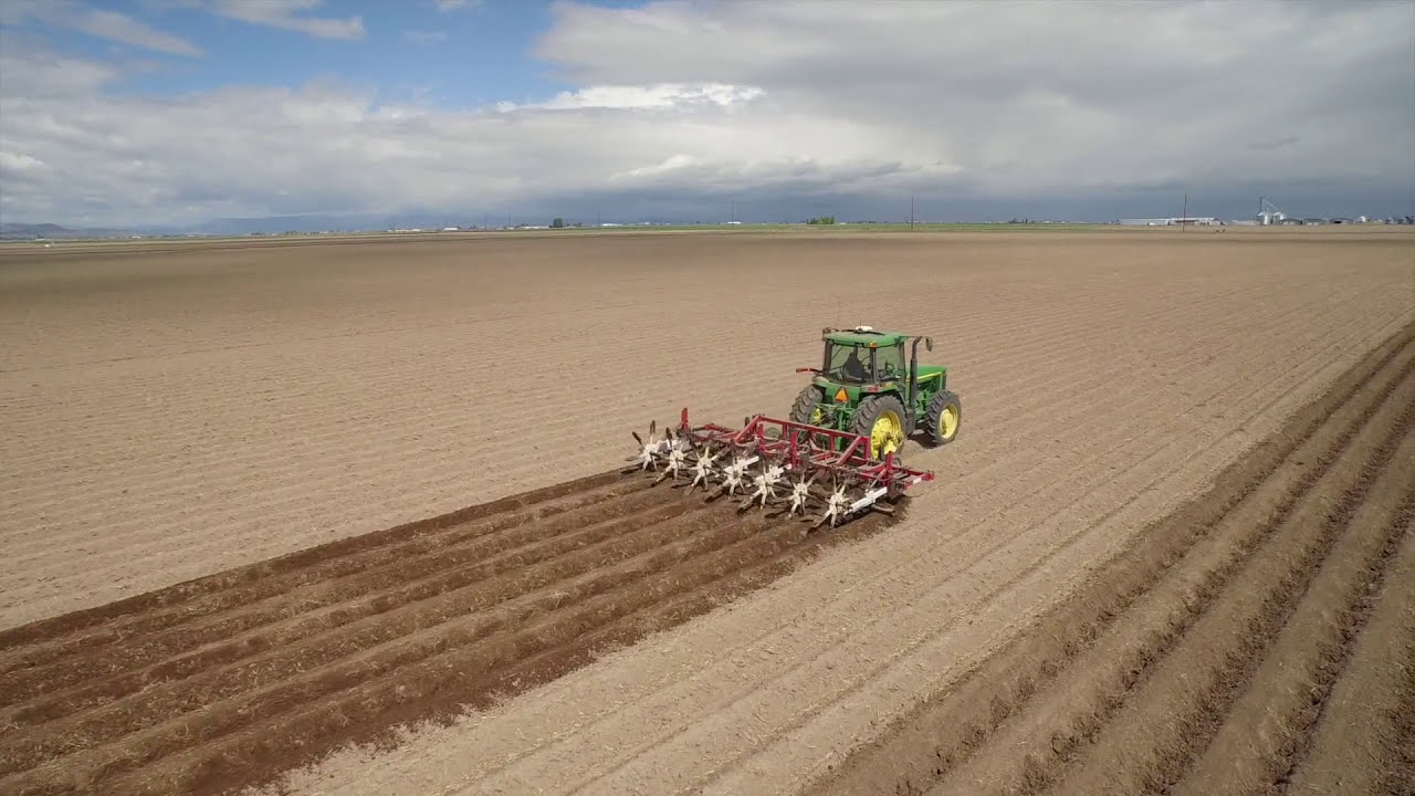Planting Potatoes, Cultivating and Spreading Fertilizer - YouTube