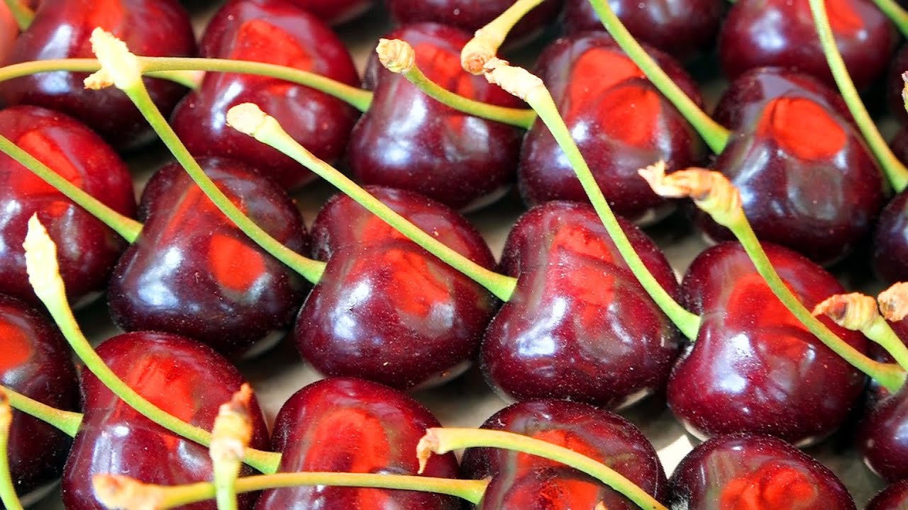 how to pack cherry fruits in boxes|ONE LIFE PRODUCTIONS - YouTube