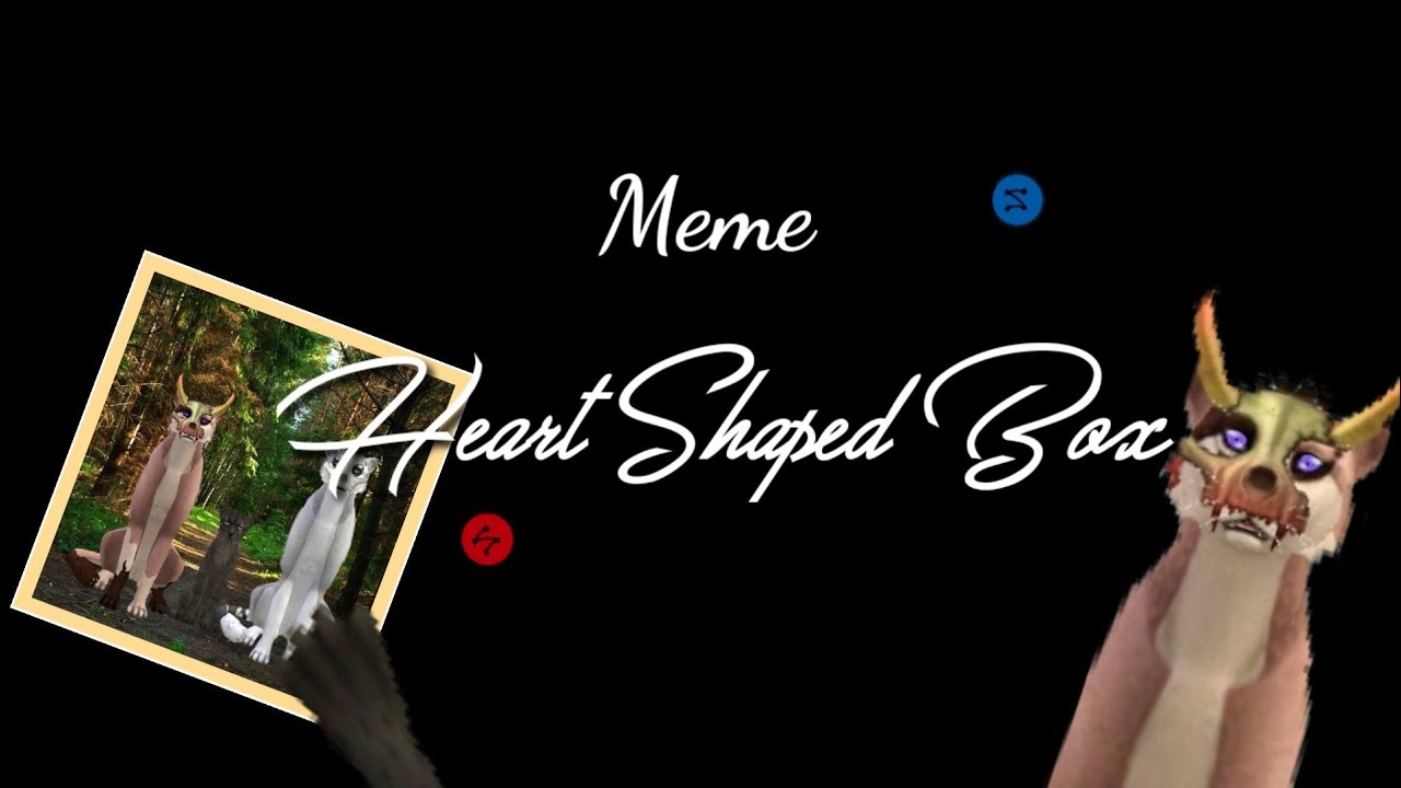 Meme//Heart Shaped Box - YouTube