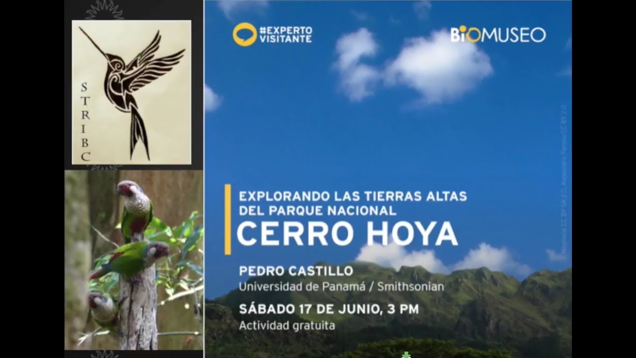 Experto Visitante: Explorando las tierras altas del Parque Nacional ...