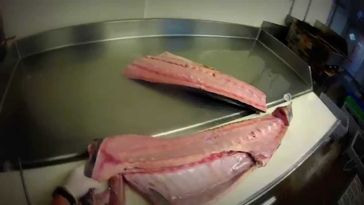How to butcher a swordfish - YouTube