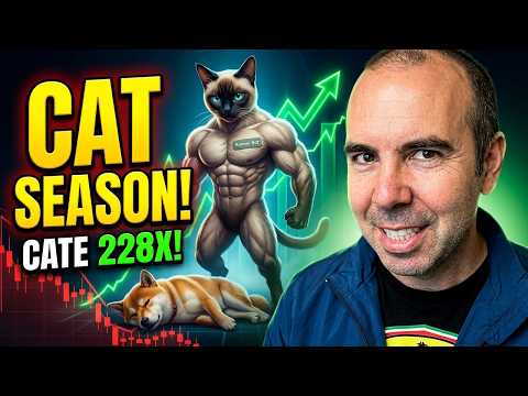$CATE vs $DOGE | Cat Season is HERE