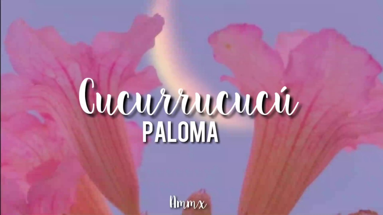 Cucurrucucú paloma - Sammy Copley (Letra) - YouTube