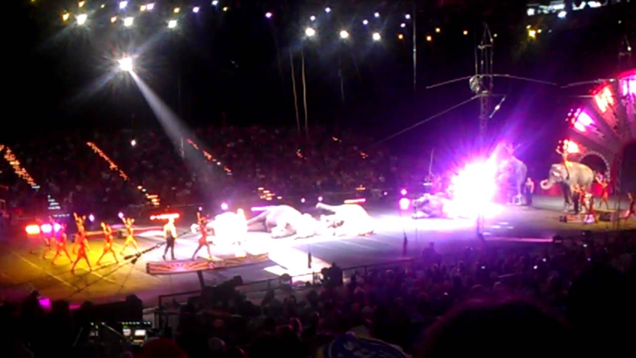 Houston circus - YouTube