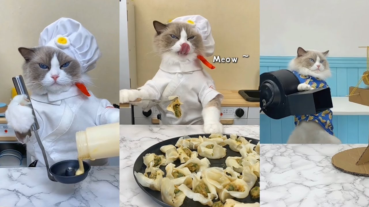 That Little Puff FUNNY Compilation №15 - YouTube