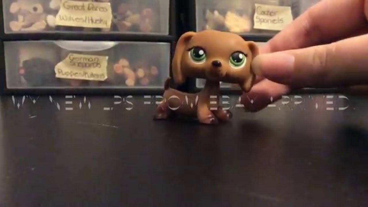 New LPS from eBay | Rare Collie?! - YouTube