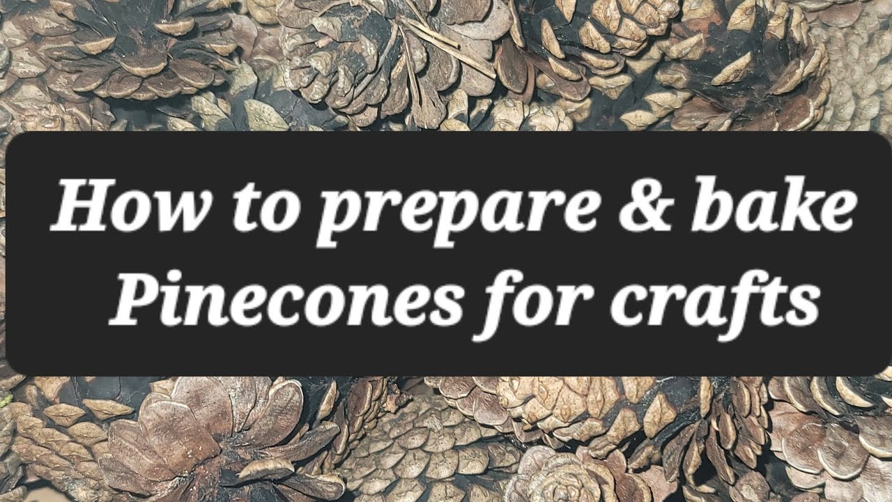 How to bake PINECONES for crafts learn to clean & get them to open and ...