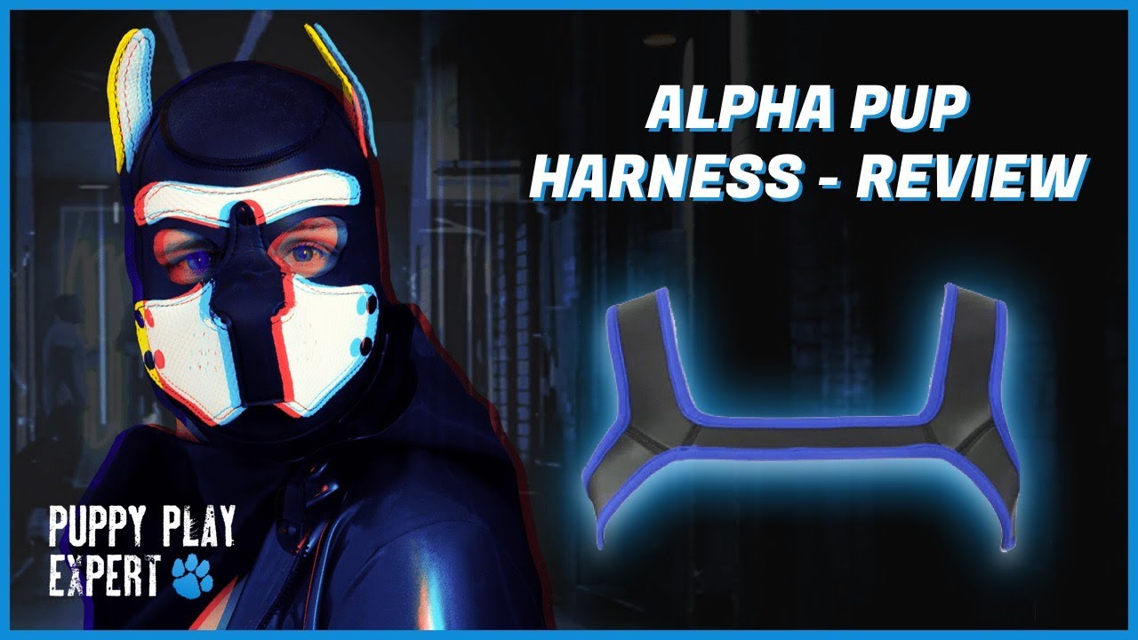 Puppy Play Expert: Alpha Pup Harness Review - YouTube
