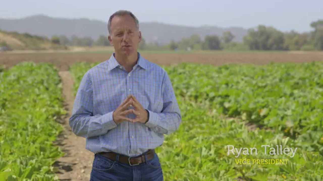 Welcome to Talley Farms - YouTube