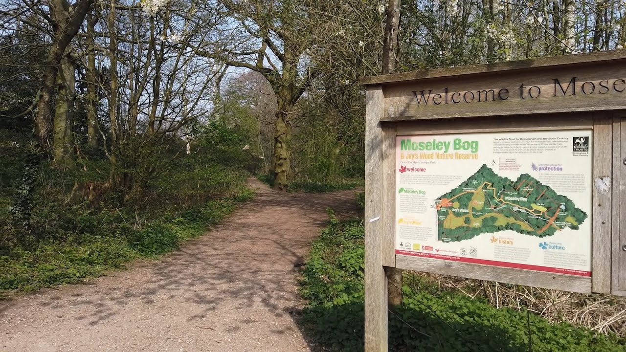 Moseley Bog & Joy's Wood - YouTube