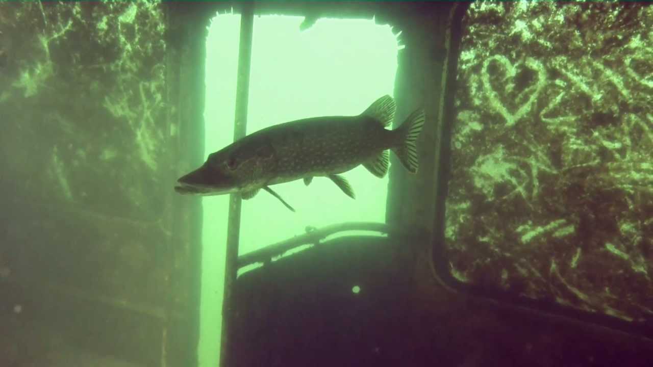 Bussloo 2013 - YouTube