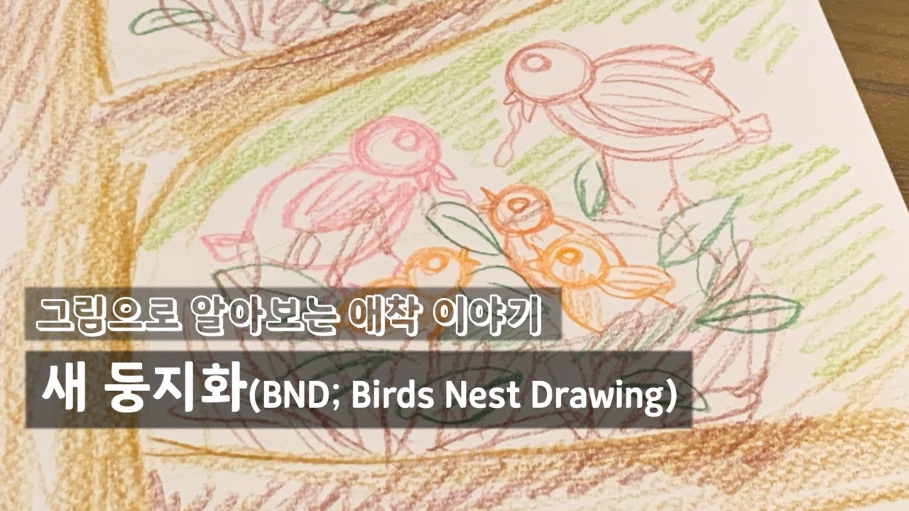 |일상과 함께하는 미술치료|53_새둥지화(BND; Birds Nest Drawing) - YouTube