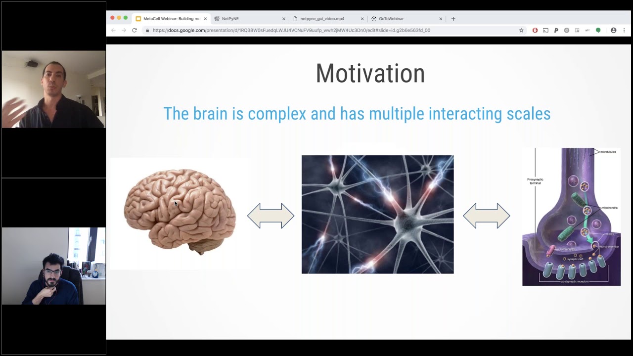 WEBINAR: Building multiscale brain models - YouTube
