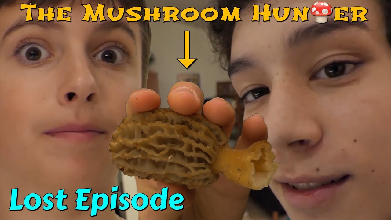 The Mushroom Hunter (Final Episode) - Morels on my mind! - YouTube