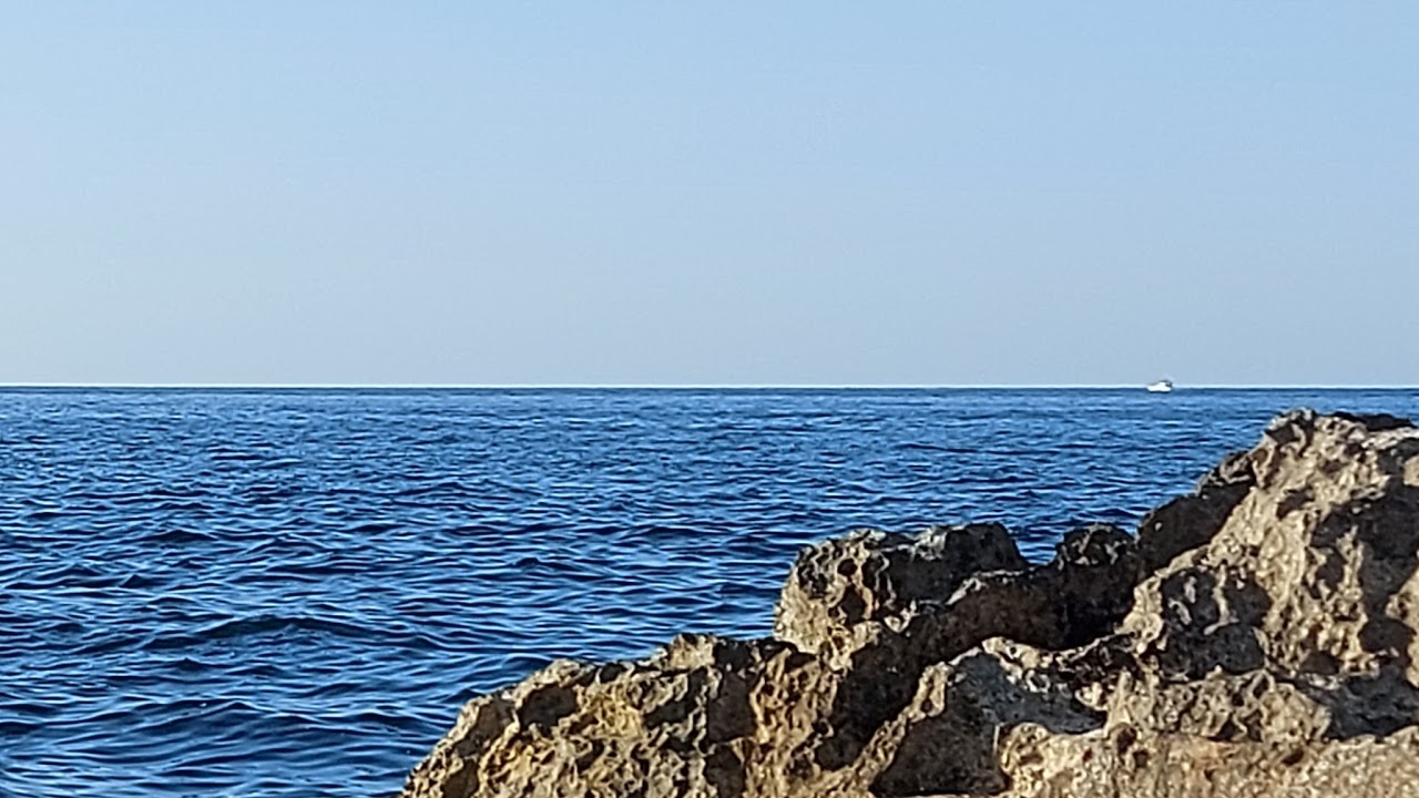 Neil Caruana Live Stream - YouTube