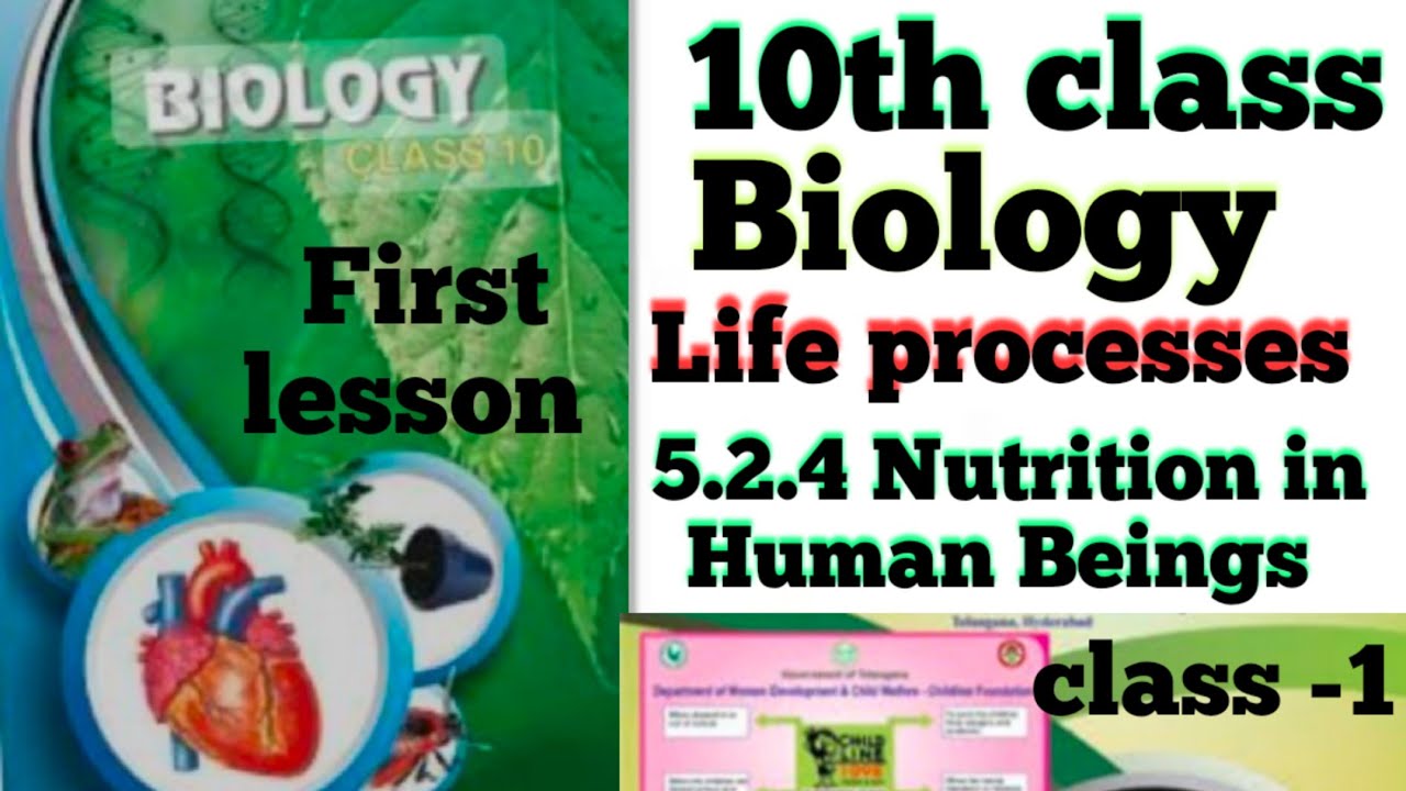 10th class Biology first Life processes ( 5.2.4 Nutrition in Human ...