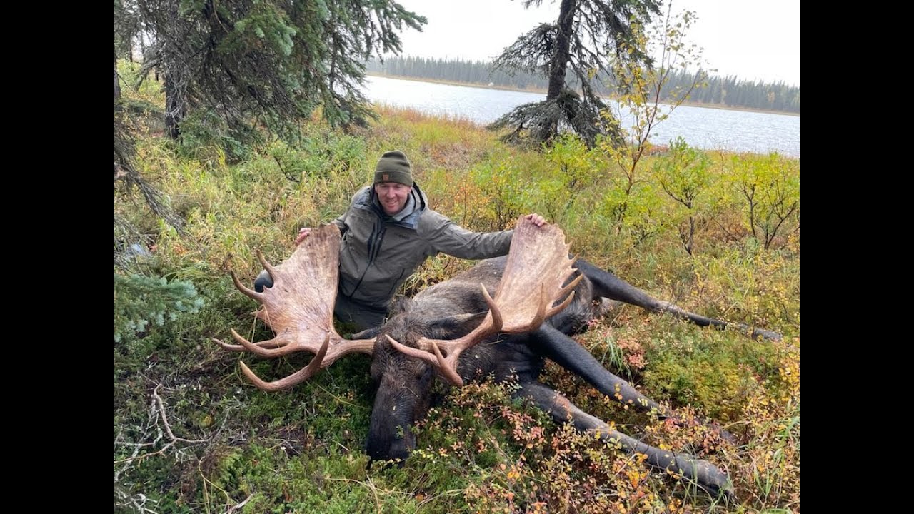 Moose Mania 22 - YouTube