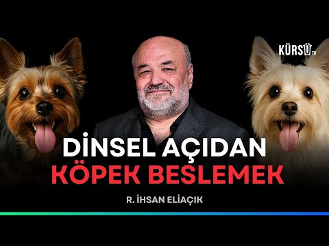 İhsan Eliaçık Evde Köpek Beslemek Gerçekten Günah Mı? sorusunu cevapladı #ihsaneliacik