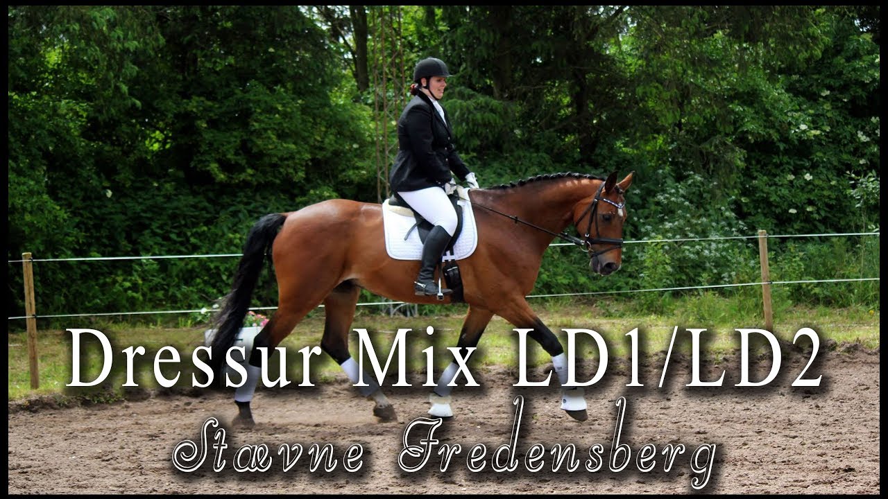 Dressur Mix LD1/LD2 - Stævne Fredensberg - YouTube