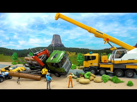 Crane Truck rescue Timber Truck! Police Cars and Race Car~! BIBO TOYS