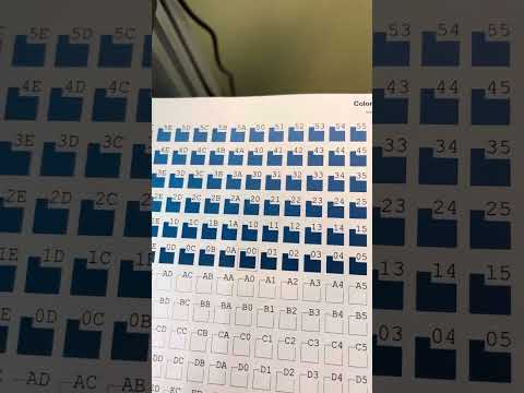 Jewish Federation Color Sample Demo - YouTube