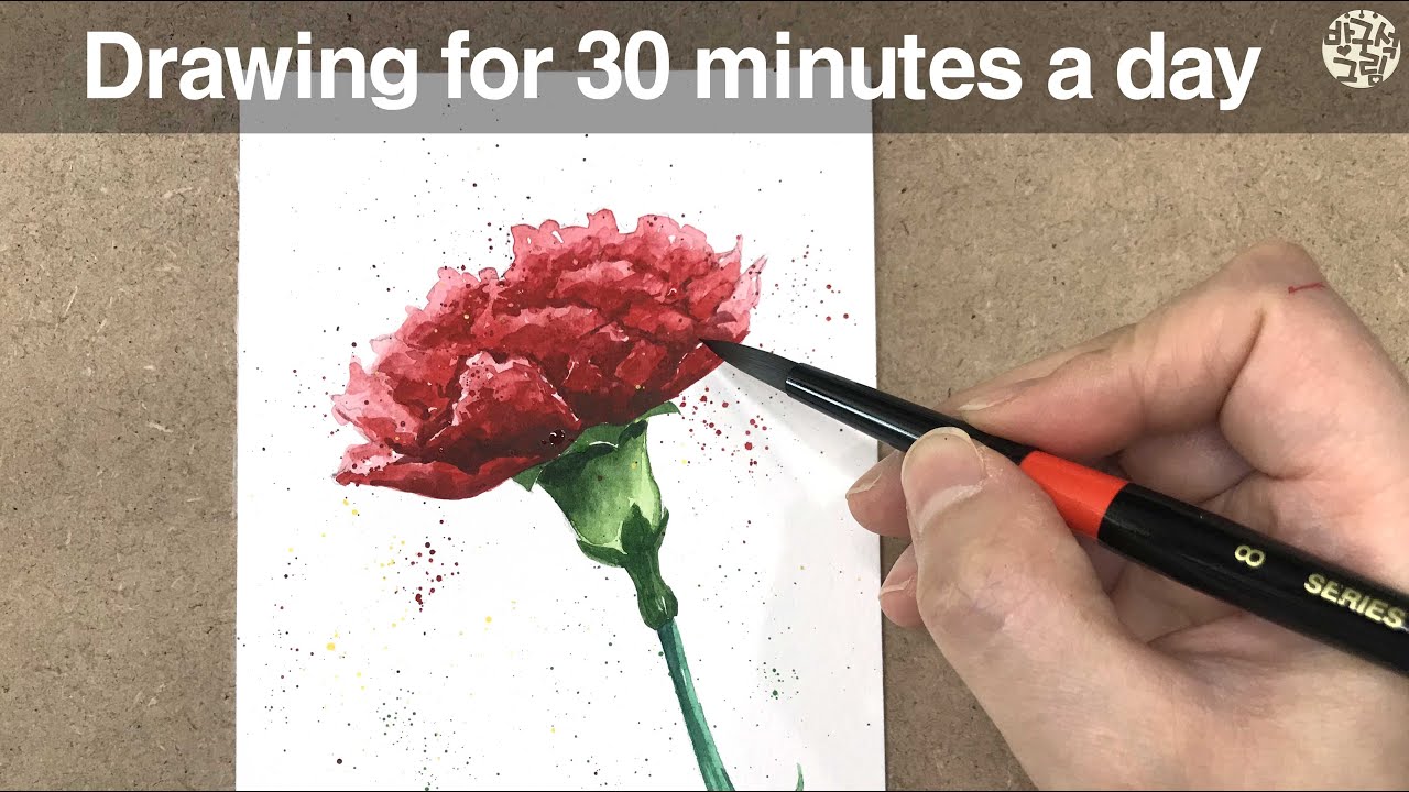 Drawing for 30 minutes a day/carnation - YouTube