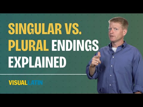 Singular vs. Plural Nouns Explained | Visual Latin 4A
