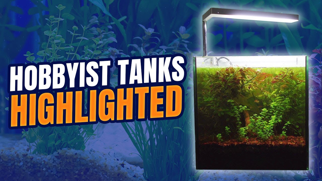NANO Freshwater Aquariums by Hobbyists around the World - YouTube