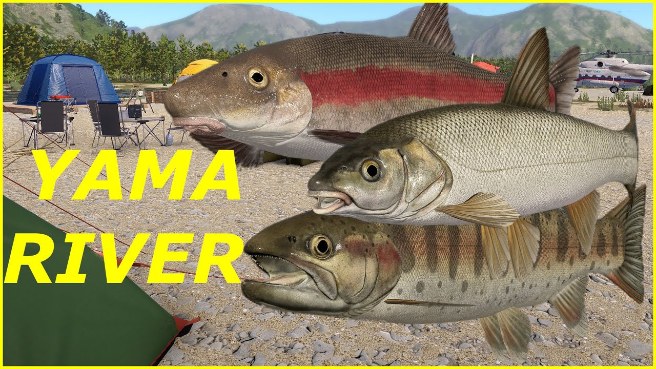 NEW FISH spot Russian Fishing 4 Yama River rf4 spot #7 - YouTube