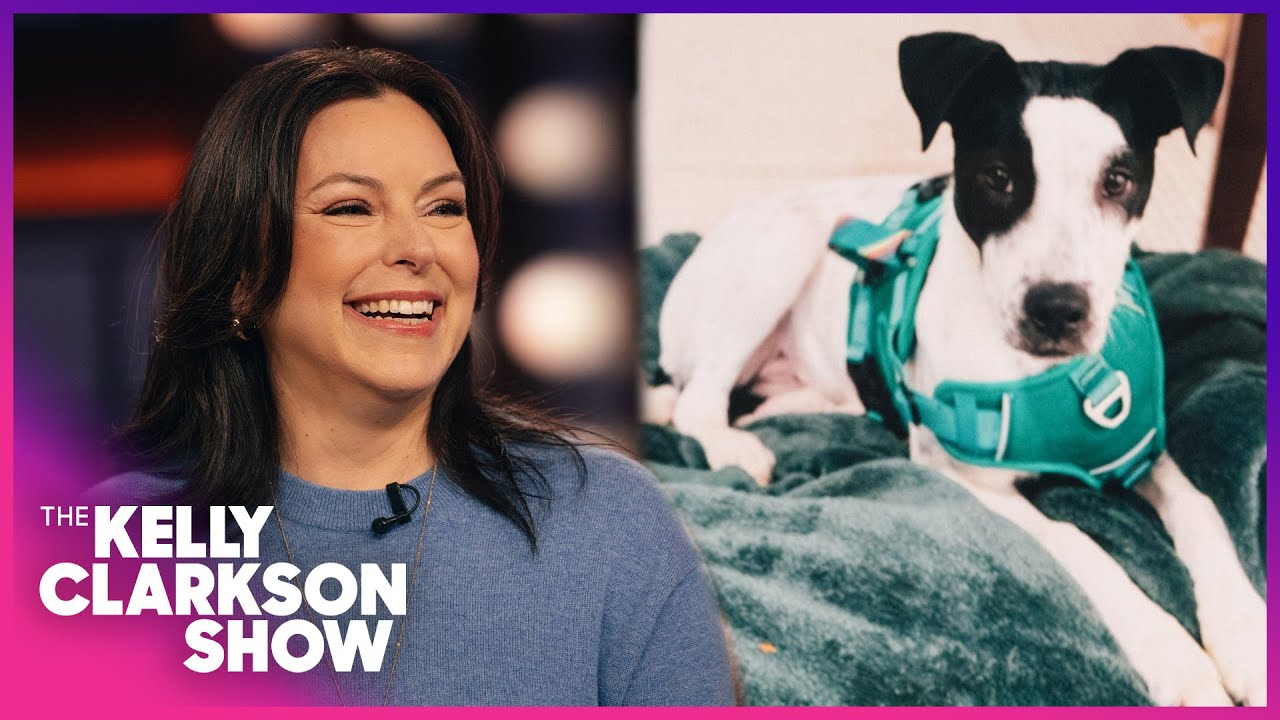 Kelly Clarkson Loves Dallas Dog Daycare With Namesake Rescue Pup! - YouTube
