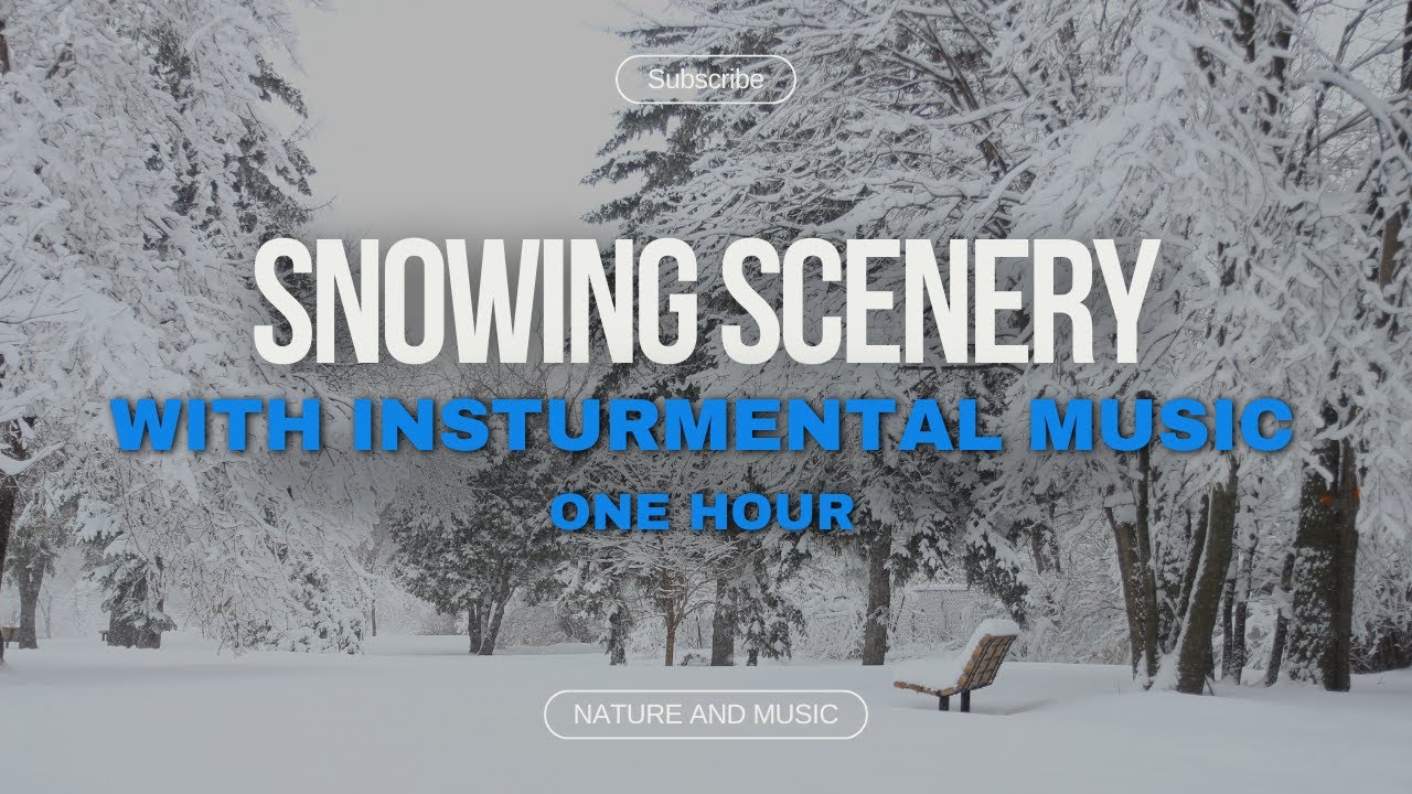 Winter Reflective Instrumental Music with Snow Scenery and Nature - YouTube