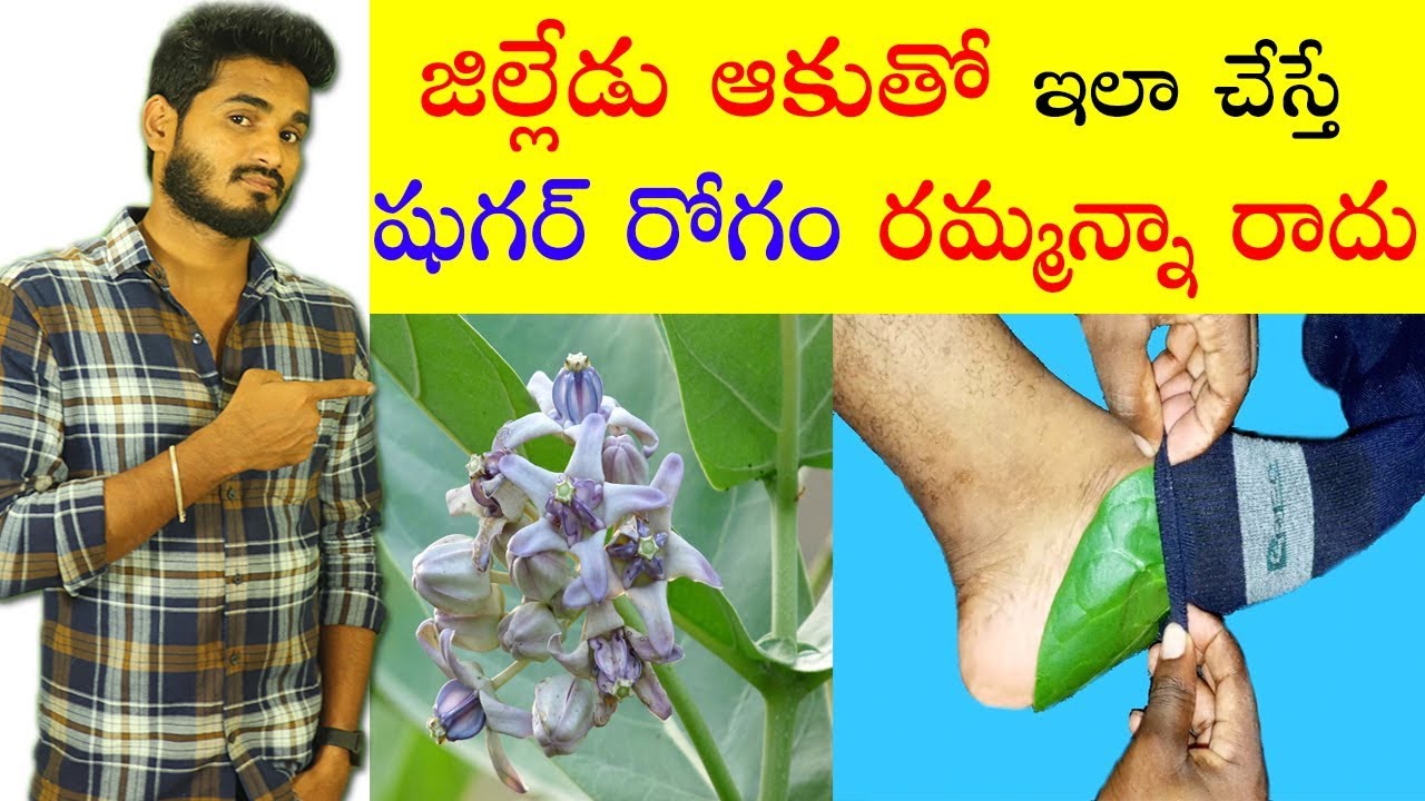 Jilledu Health Benefits Telugu | Jilledu Importance ||VIP Telugu - YouTube