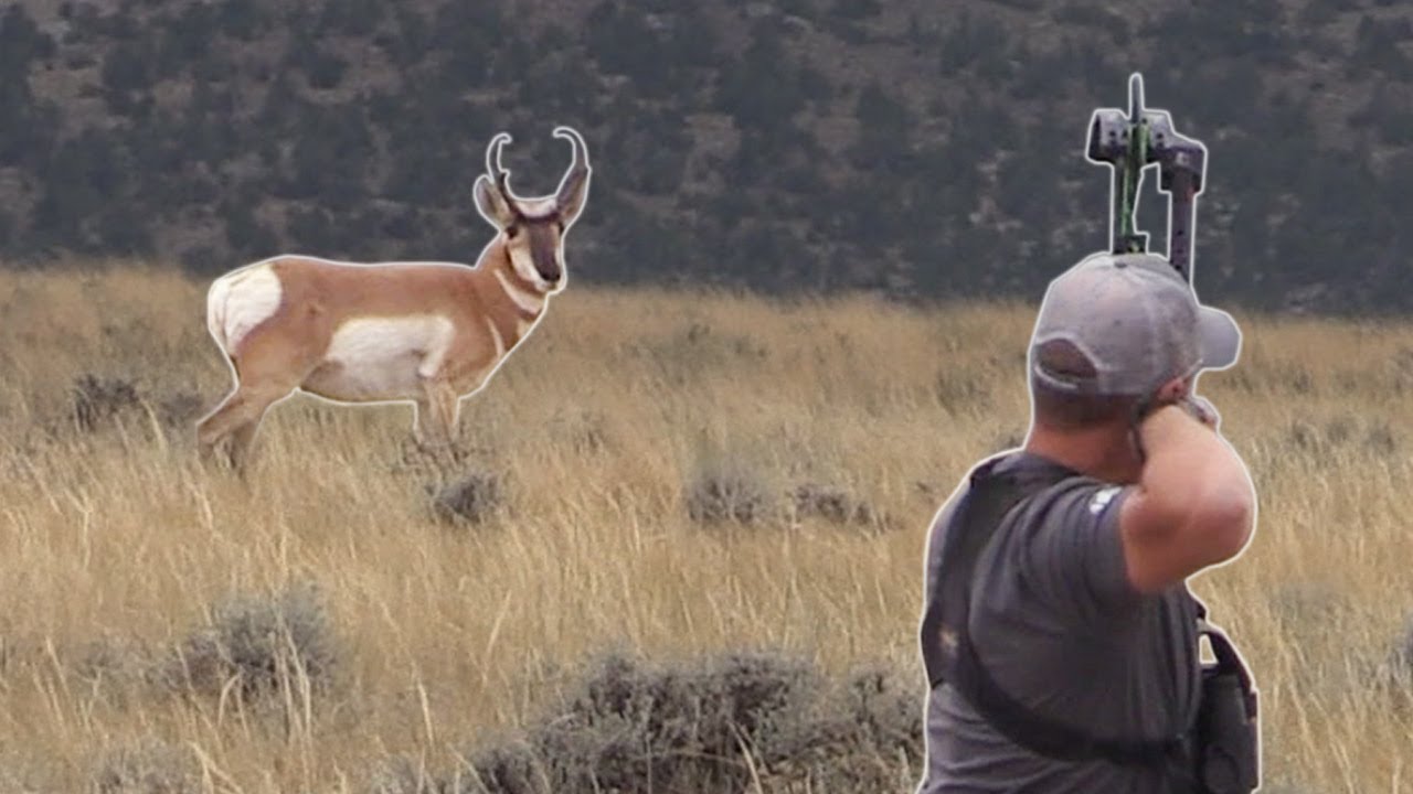 Bow hunting antelope - Spot & stalk public land pronghorn! (Eastmans ...