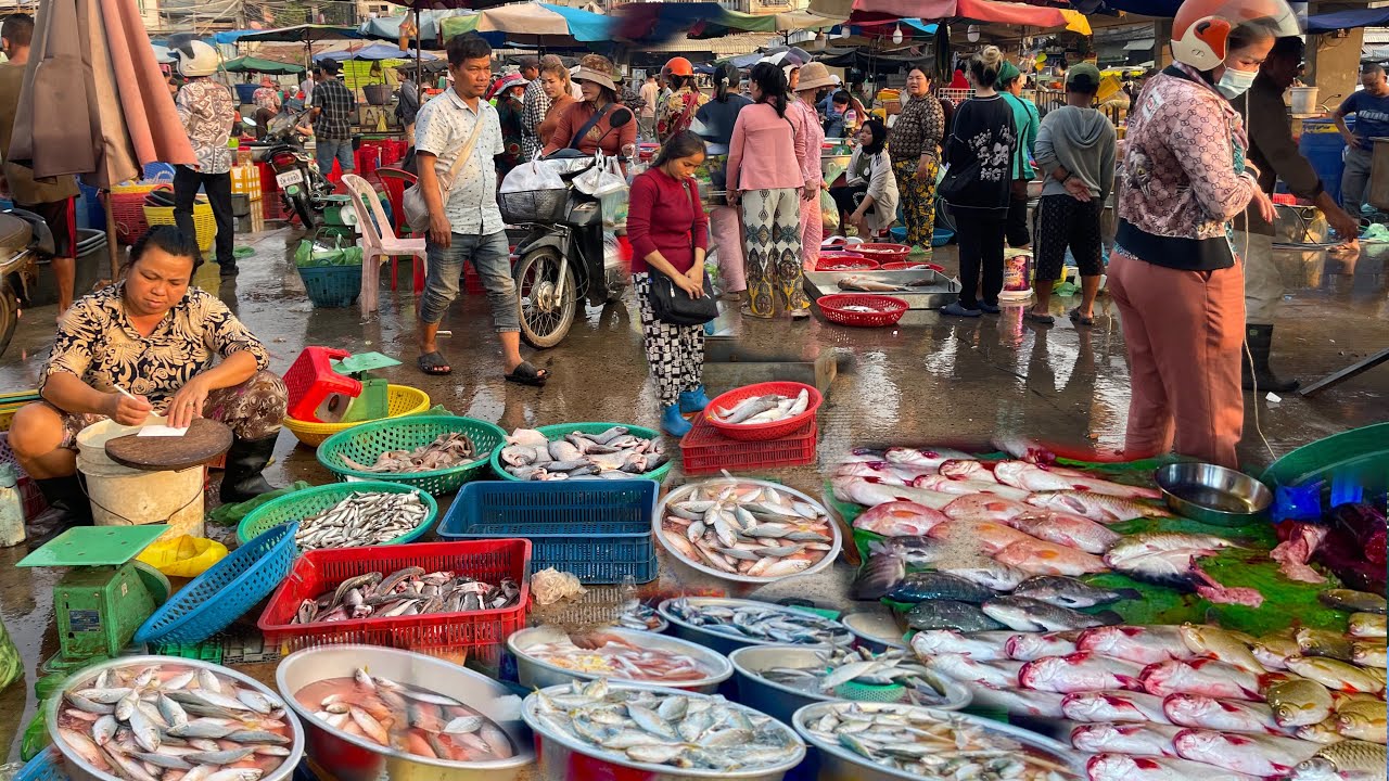 Cambodian Wet Market in 2025. Daily Food, Largest Fish Distribution ...